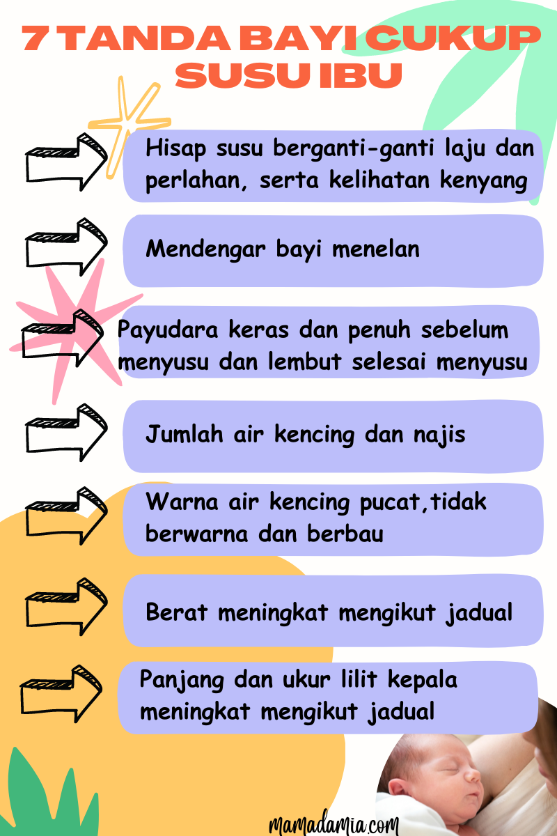 7 Tanda Bayi Cukup Menyusu Susu Ibu Yang Anda Perlu Tahu