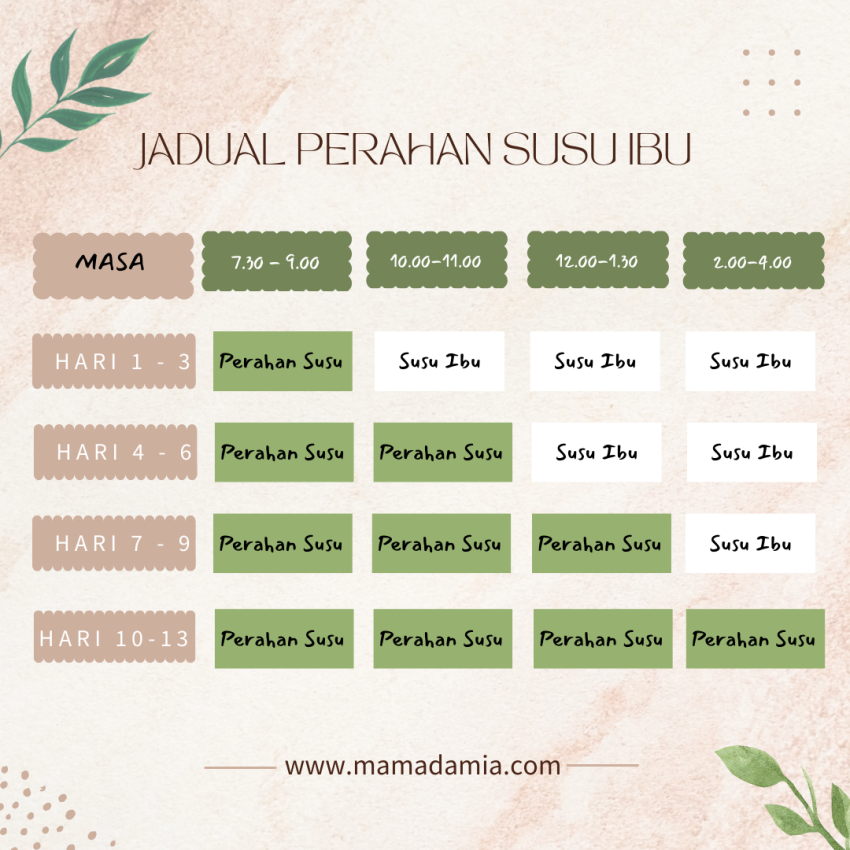 5 Panduan Penyusuan Susu Ibu Bekerja Perlu Anda Tahu